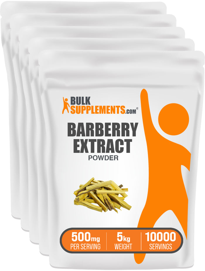 Barberry Extract Powder | Berberis vulgaris Extract
