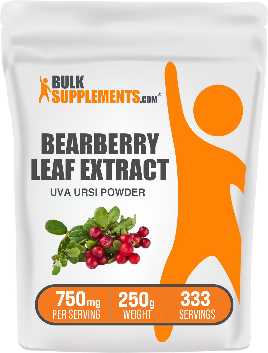 Bearberry Extract Powder | Uva Ursi Extract | Arctostaphylos uva-ursi