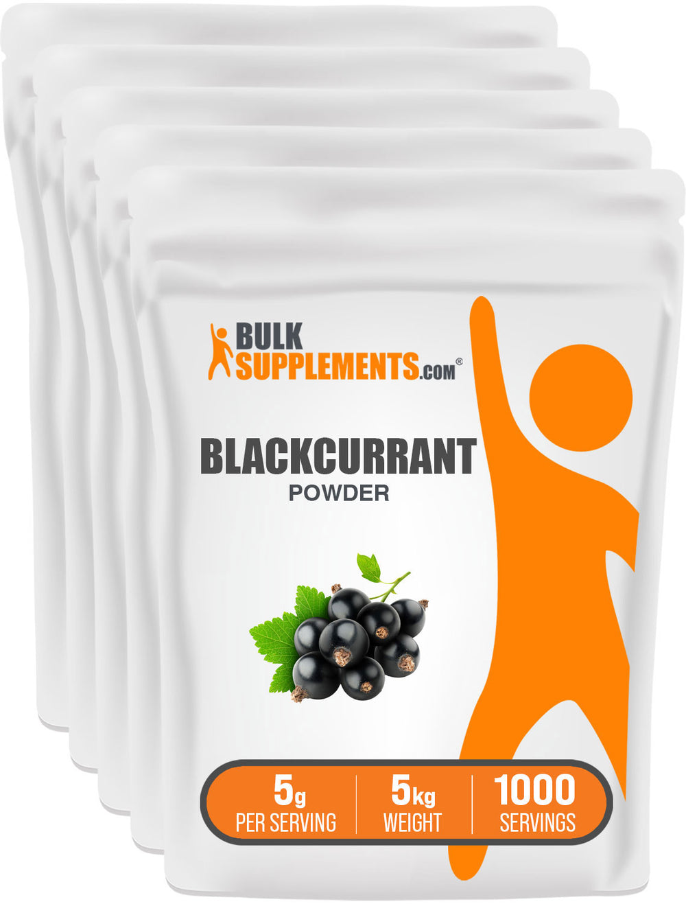 Blackcurrant Powder | Black Currant Powder | Ribes nigrum Powder
