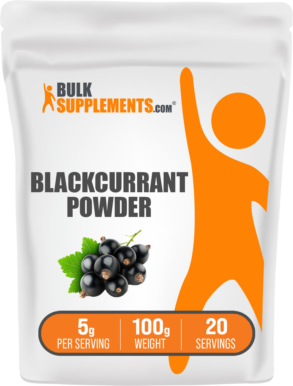 Blackcurrant Powder | Black Currant Powder | Ribes nigrum Powder
