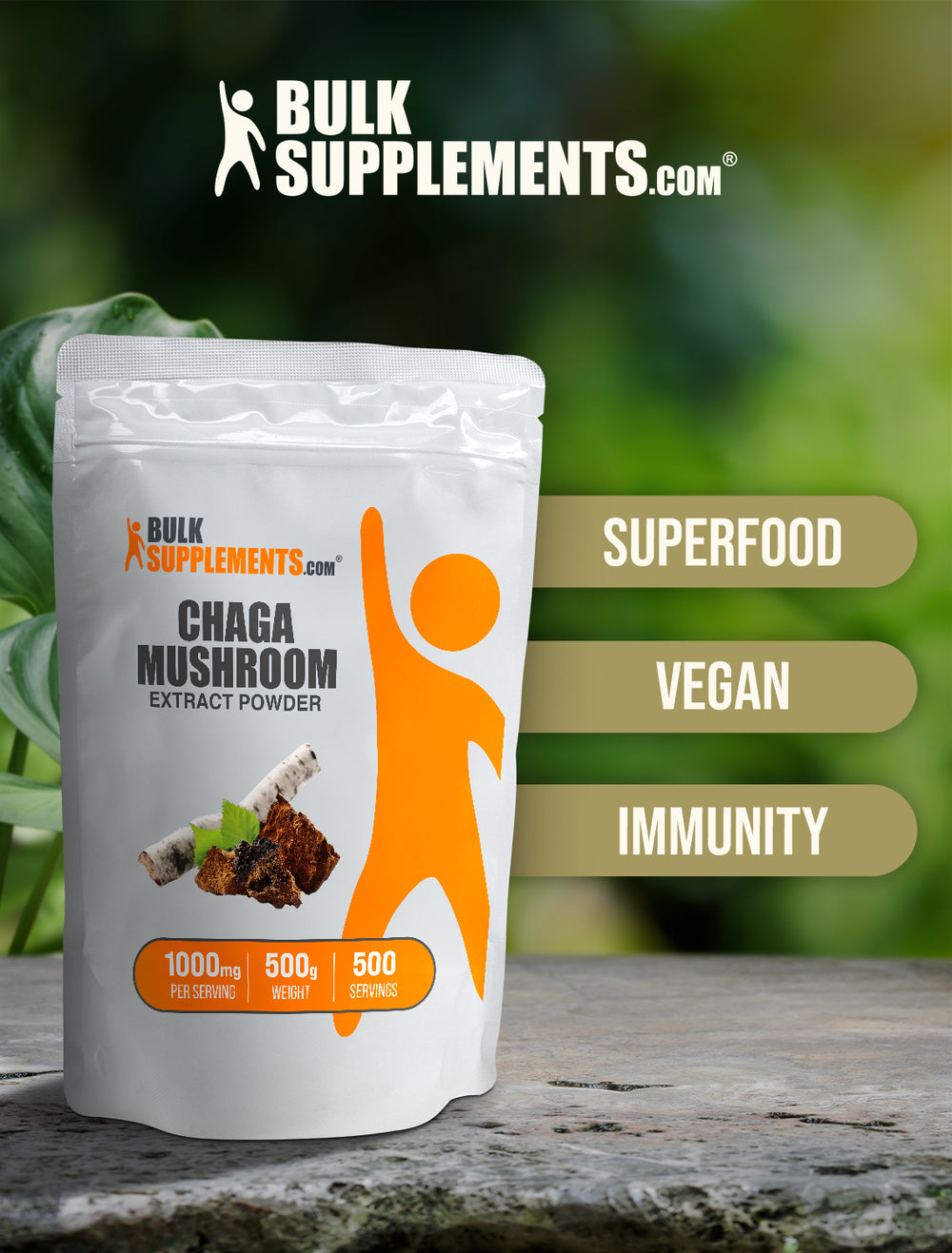 Chaga Mushroom Extract | Inonotus obliquus Extract