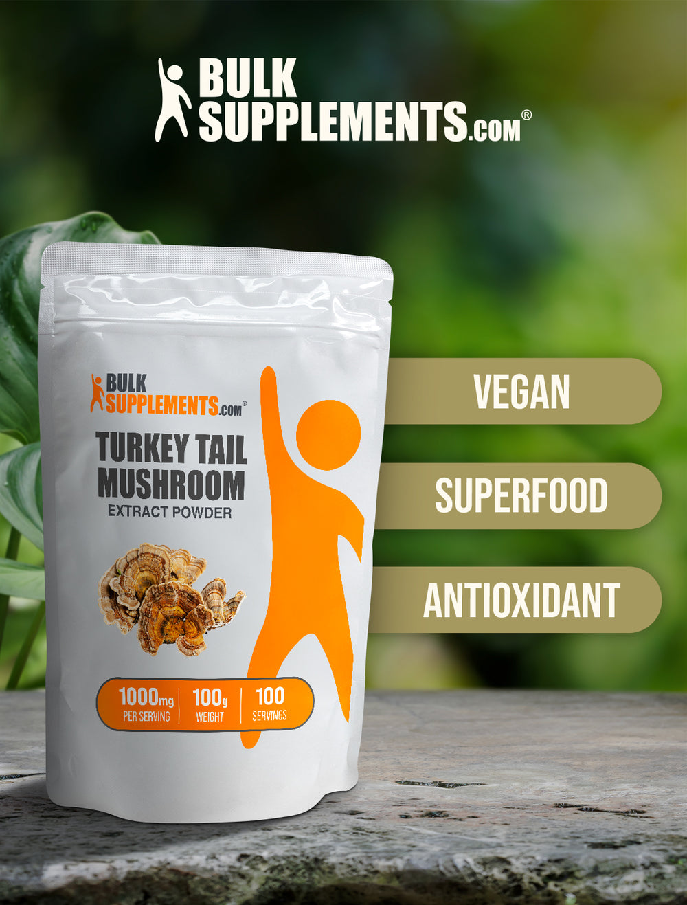 Coriolus versicolor Extract | Turkey Tail Mushroom Extract