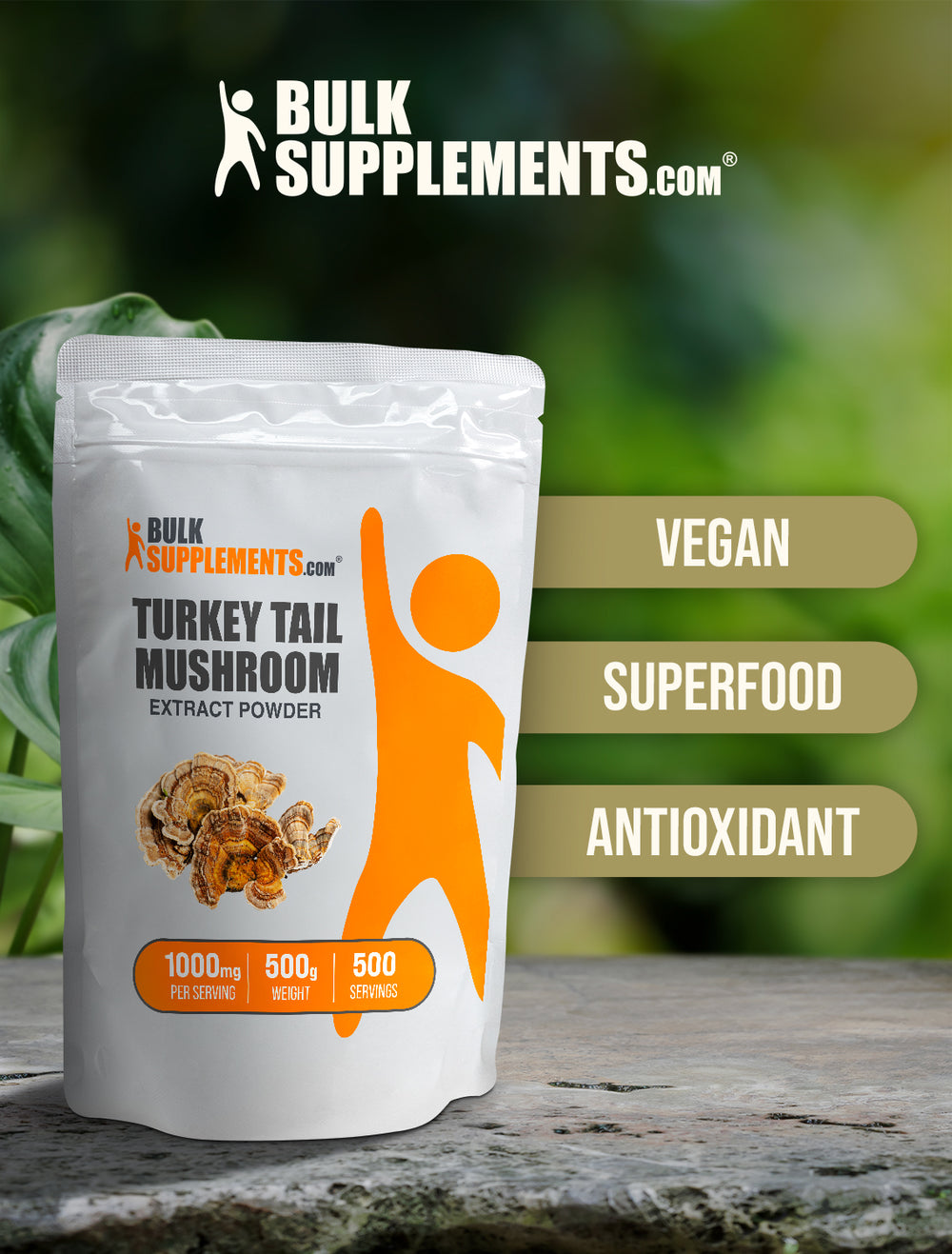 Coriolus versicolor Extract | Turkey Tail Mushroom Extract