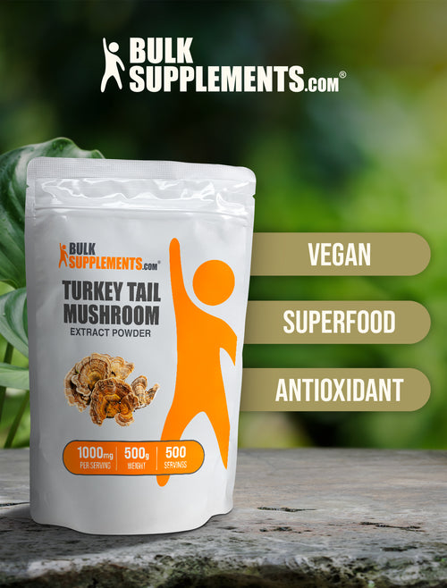 Coriolus versicolor Extract | Turkey Tail Mushroom Extract