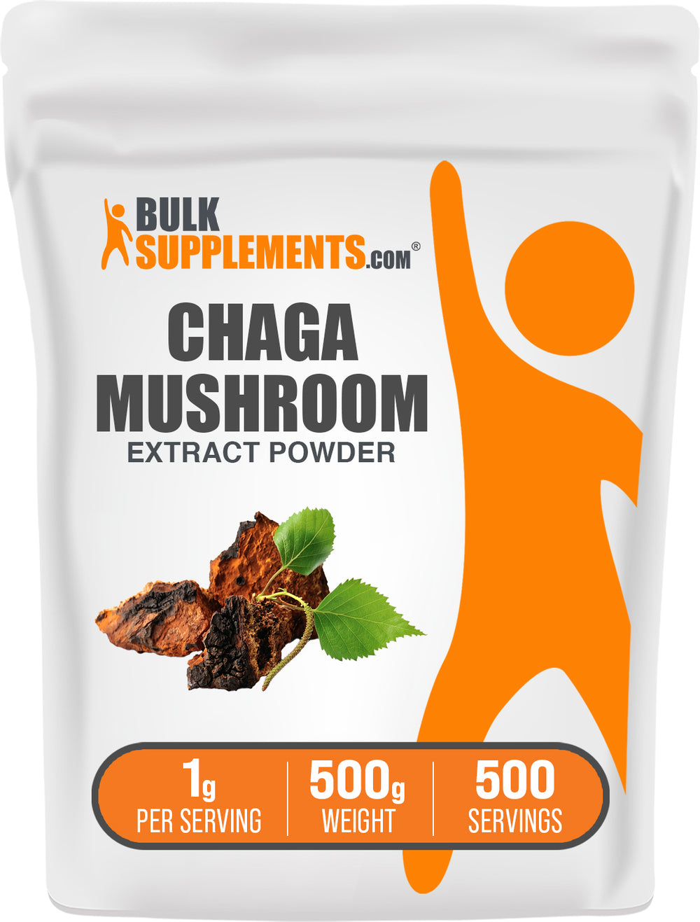 Chaga Mushroom Extract | Inonotus obliquus Extract