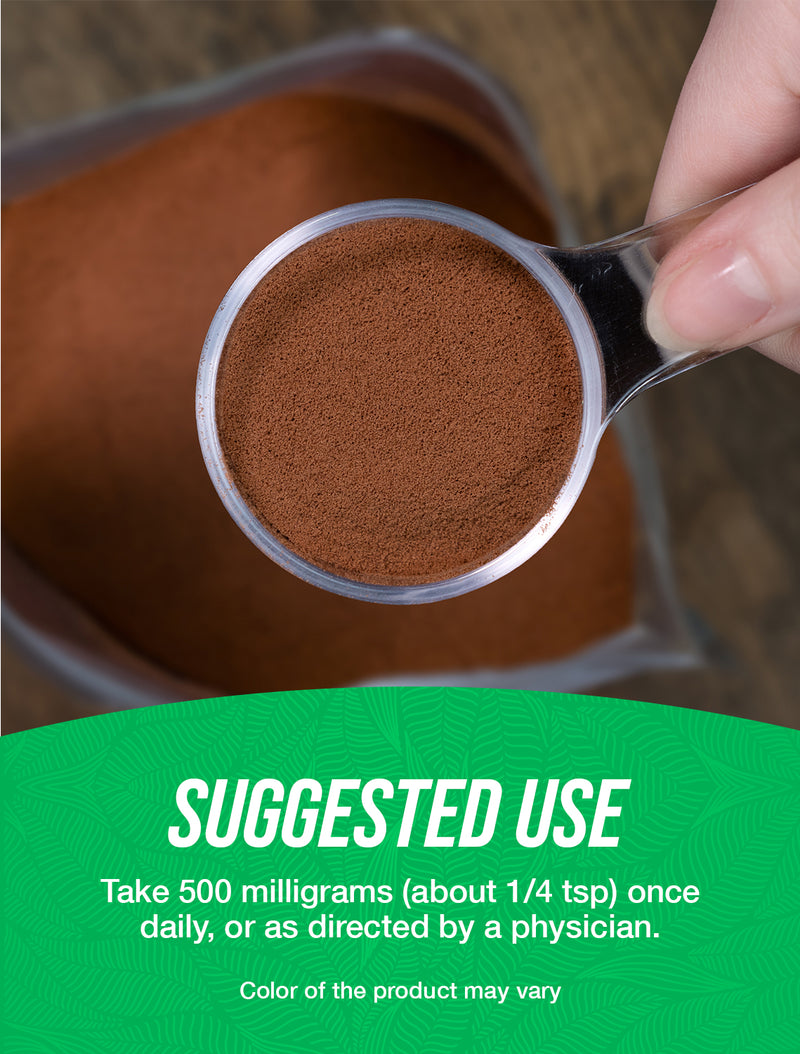 Theobroma cacao Extract | Cocoa Bean Extract | Cacao Bean Extract