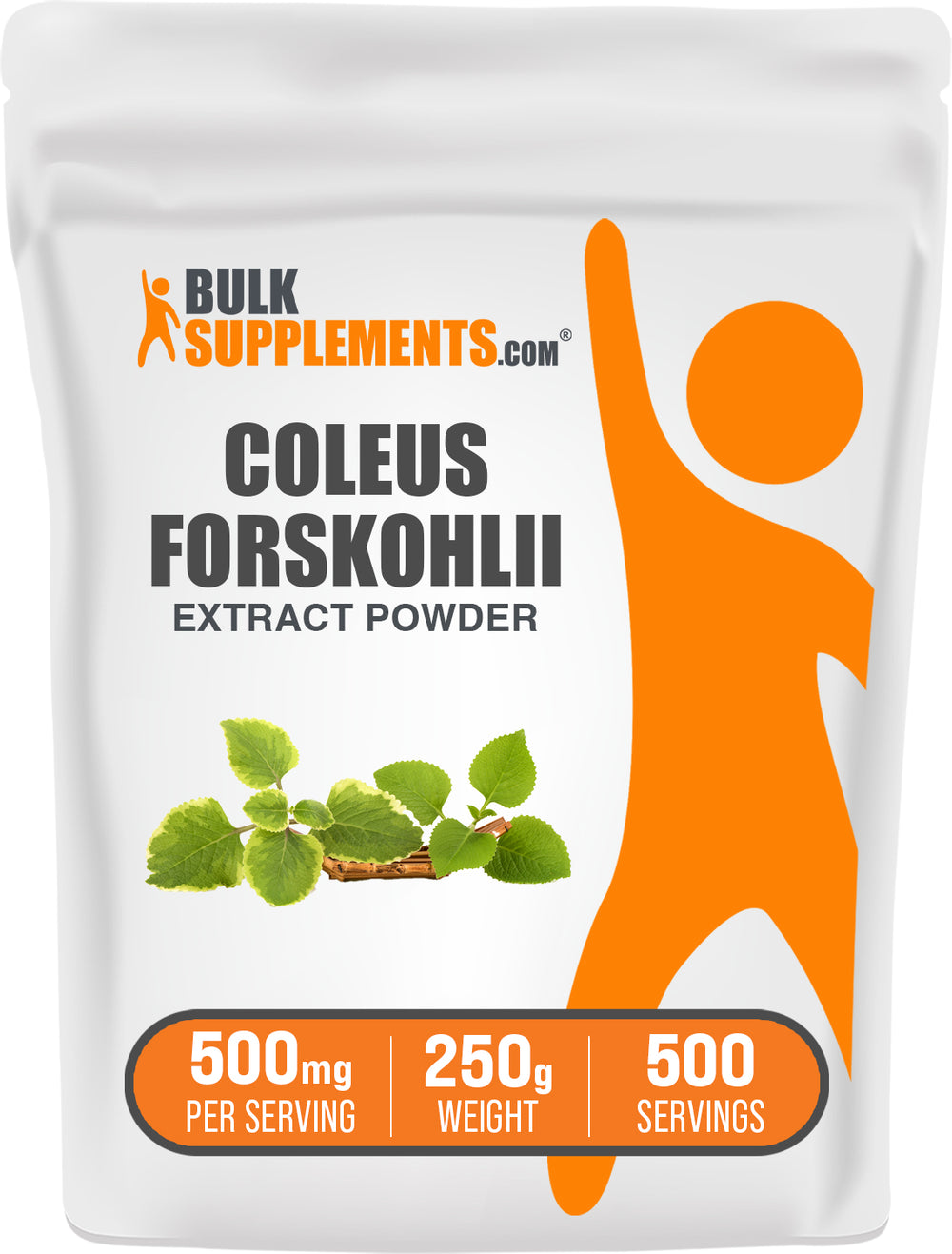 Coleus Forskohlii Extract Capsules - 7.5% Forskolin