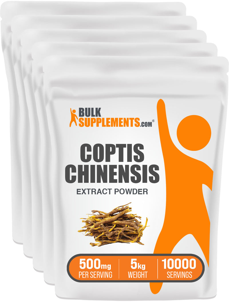 Coptis Chinensis Extract | Huang Lian | Chinese Goldthread