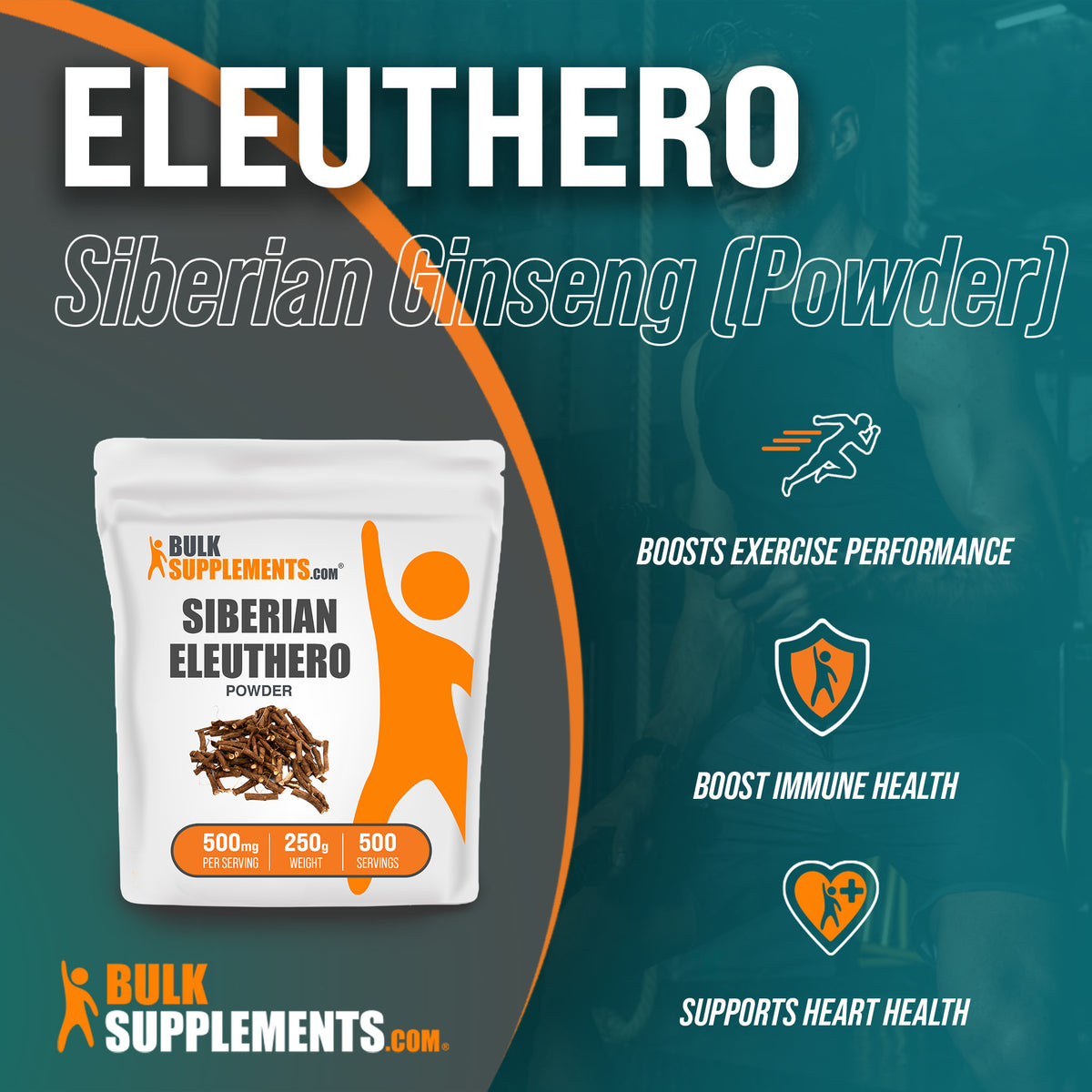 Eleuthero Powder (Siberian Ginseng) | Eleutherococcus senticosus