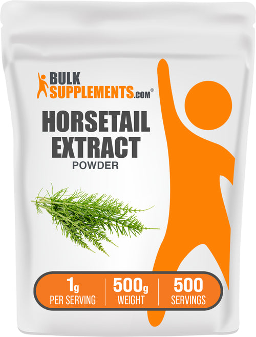 Horsetail Extract (Equisetum arvense) Powder | Horsetail Supplement