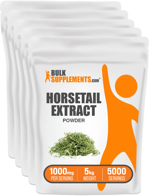 Horsetail Extract (Equisetum arvense) Powder | Horsetail Supplement