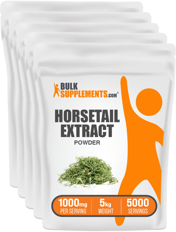 Horsetail Extract (Equisetum arvense) Powder | Horsetail Supplement