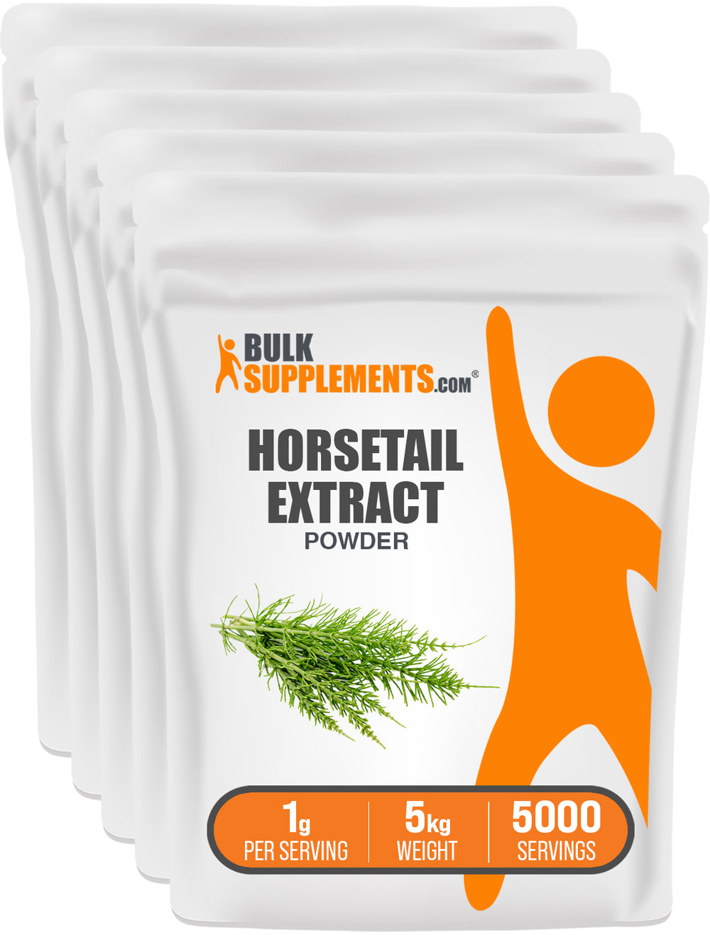 Horsetail Extract (Equisetum arvense) Powder | Horsetail Supplement