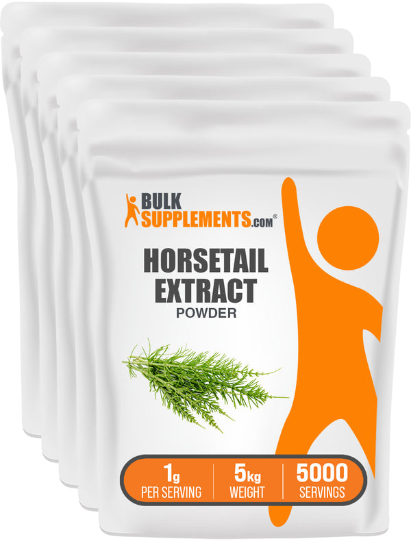 Horsetail Extract (Equisetum arvense) Powder | Horsetail Supplement