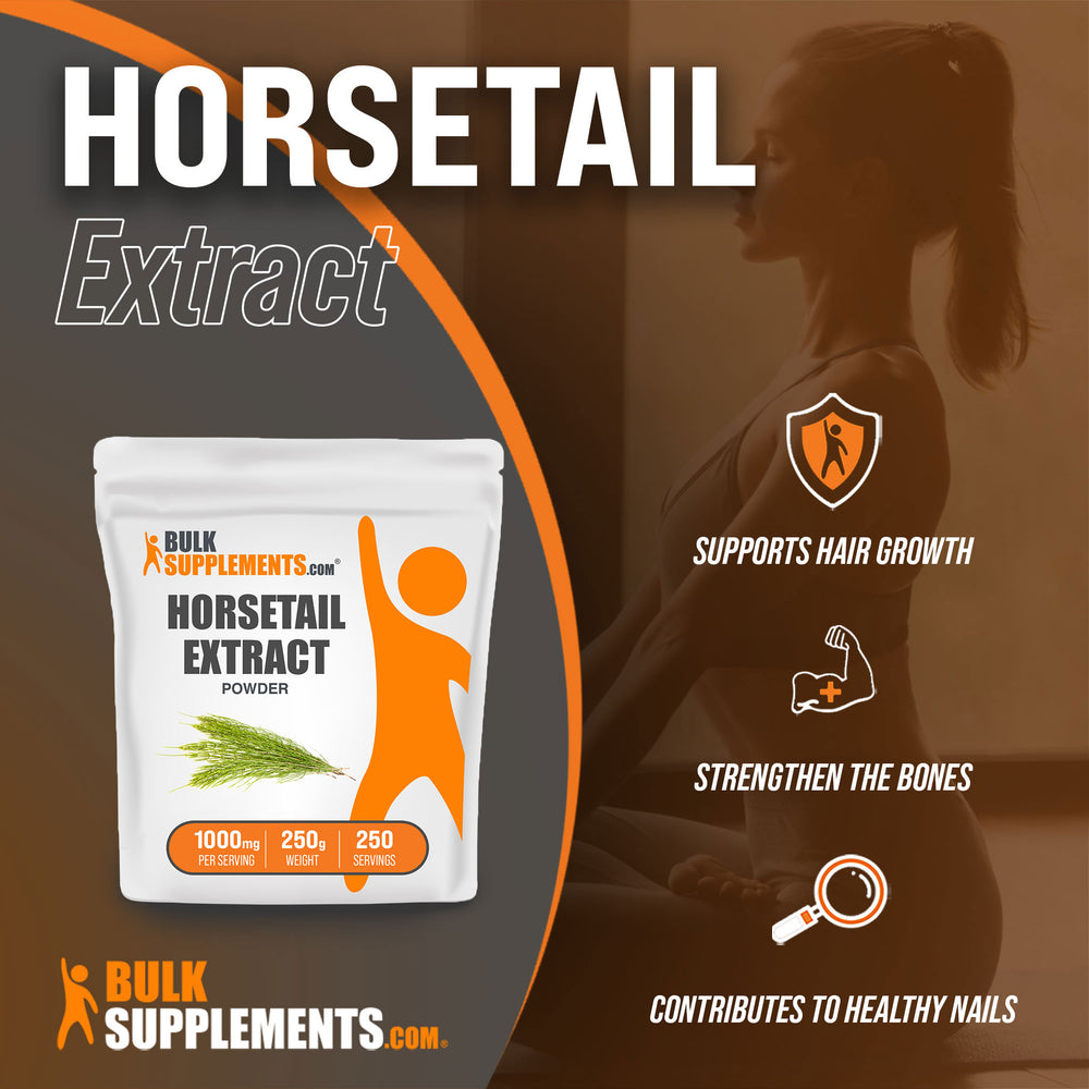 Horsetail Extract (Equisetum arvense) Powder | Horsetail Supplement