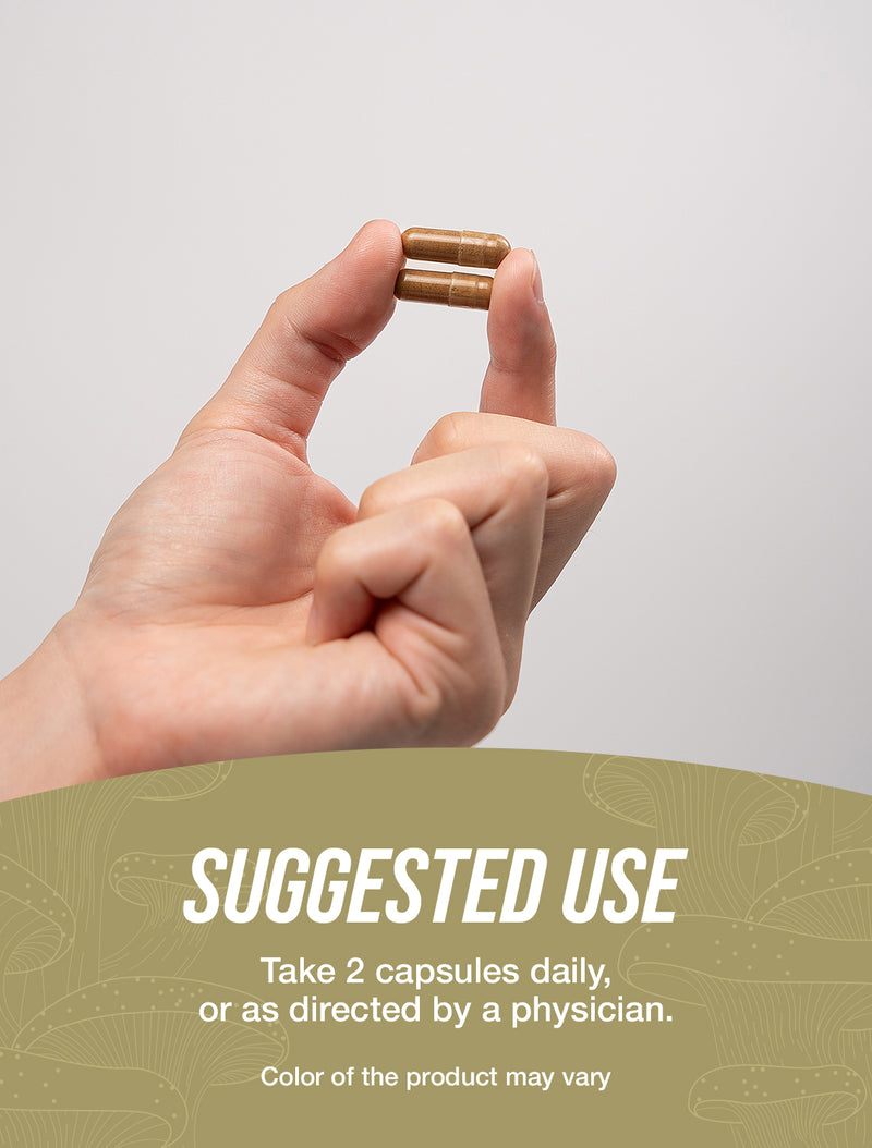 Lions Mane Mushroom Capsules - Brain Booster & Immune System Support