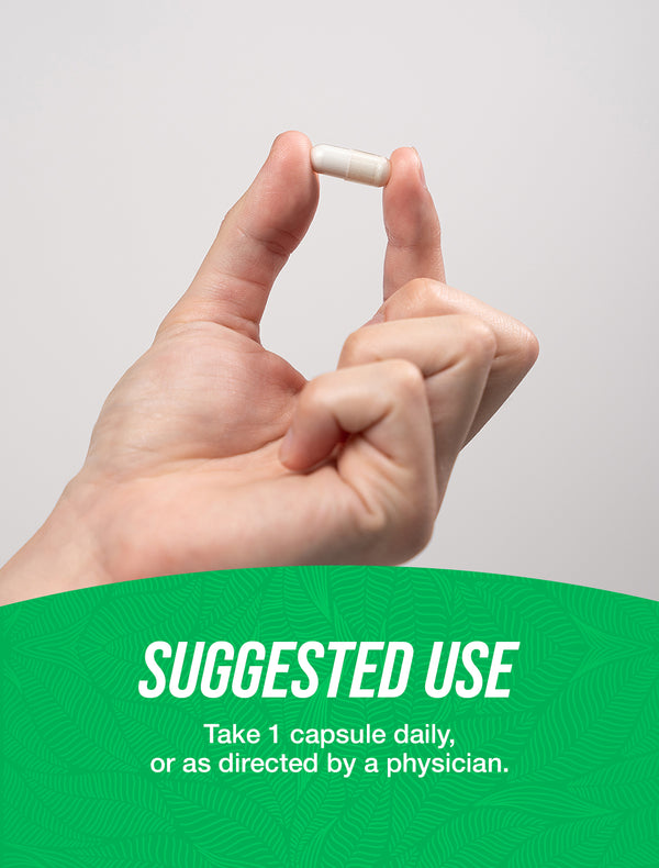 Papaya Seed Capsules - Improve Health & Wellbeing