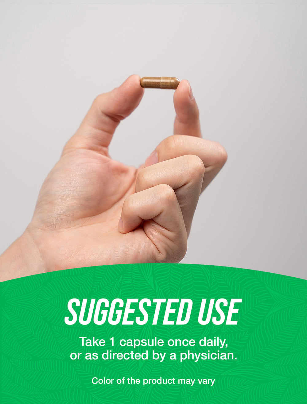 Pine Bark Extract Capsules - Get Natural Antioxidant Support