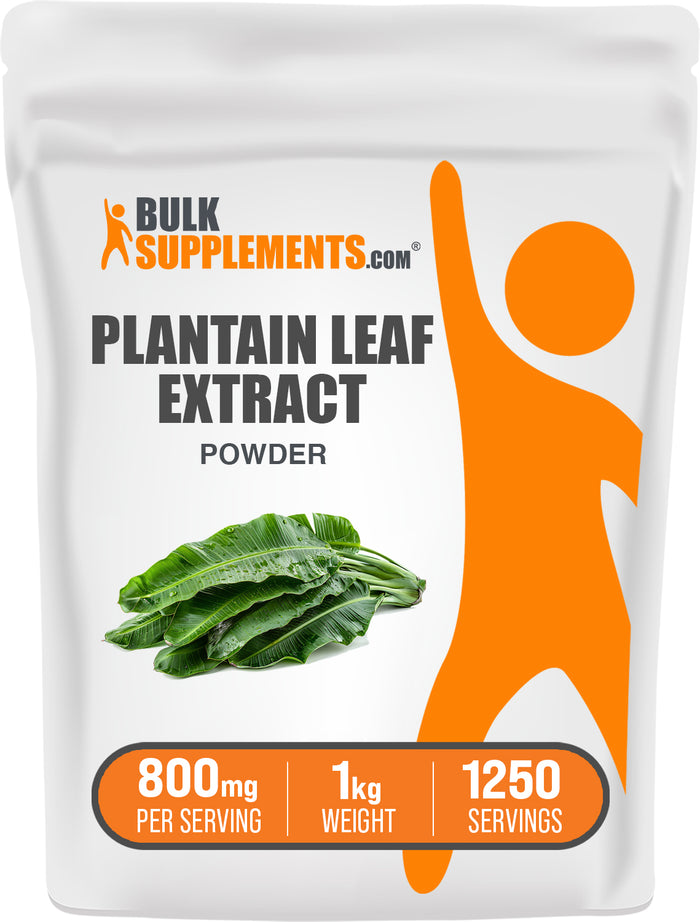 Plantain Leaf Extract | Plantago major Extract | Plantain Extract