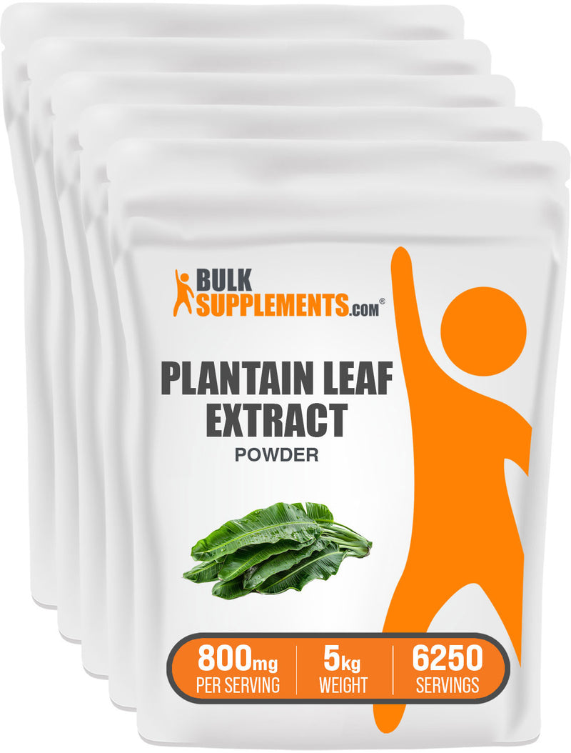 Plantain Leaf Extract | Plantago major Extract | Plantain Extract