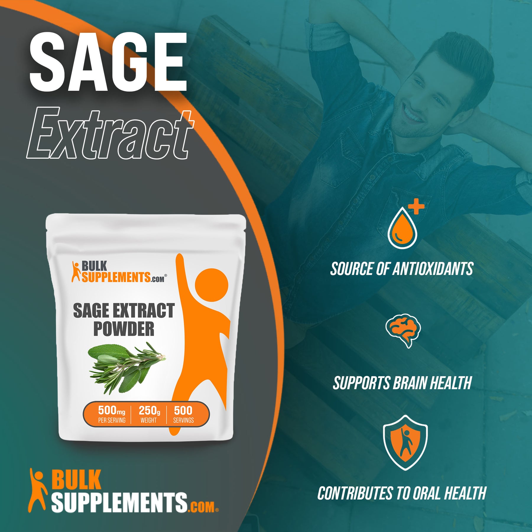 Sage Extract | Salvia japonica Extract | Herbal Supplements