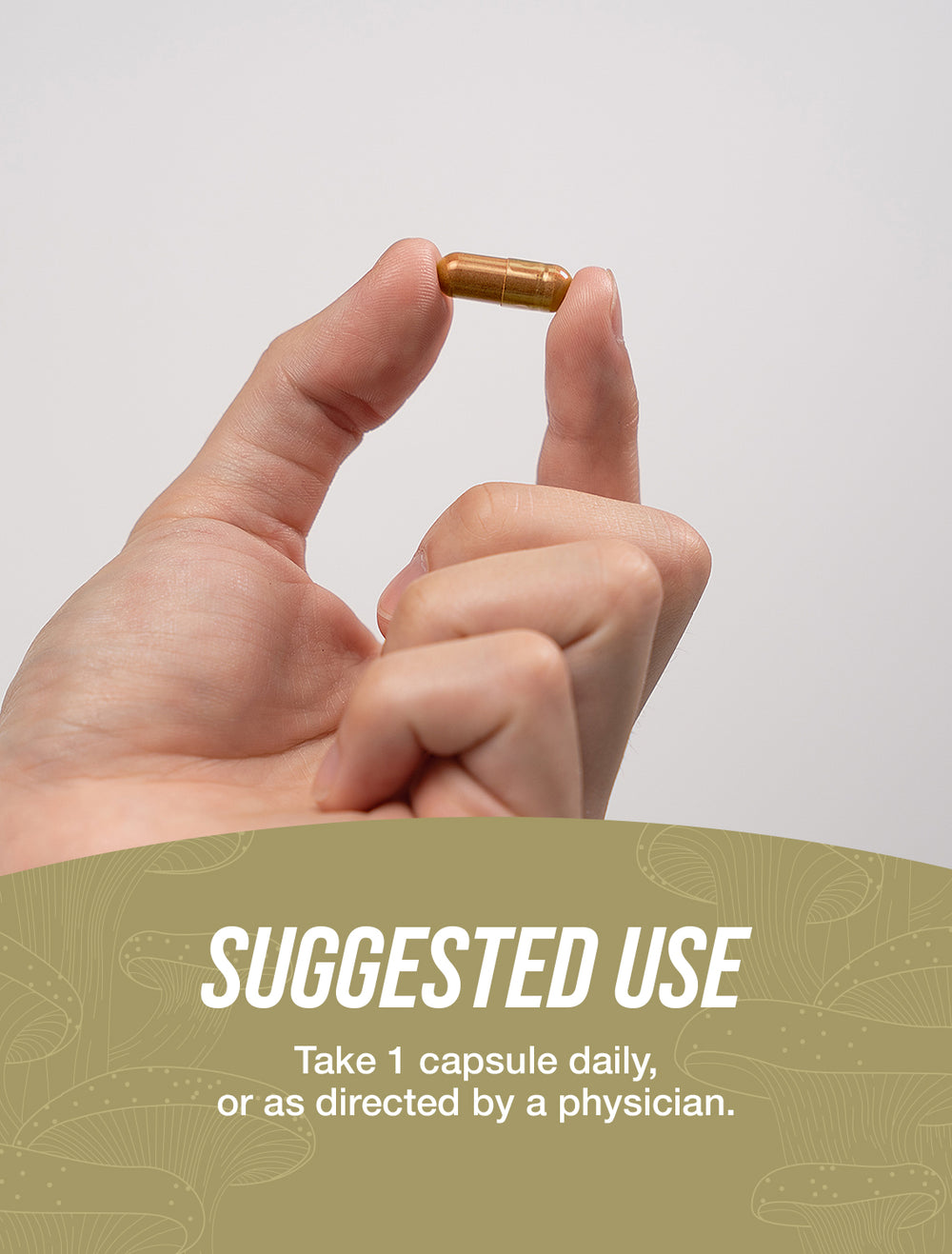 White Button Agaricus Capsules - Premium Health Supplement