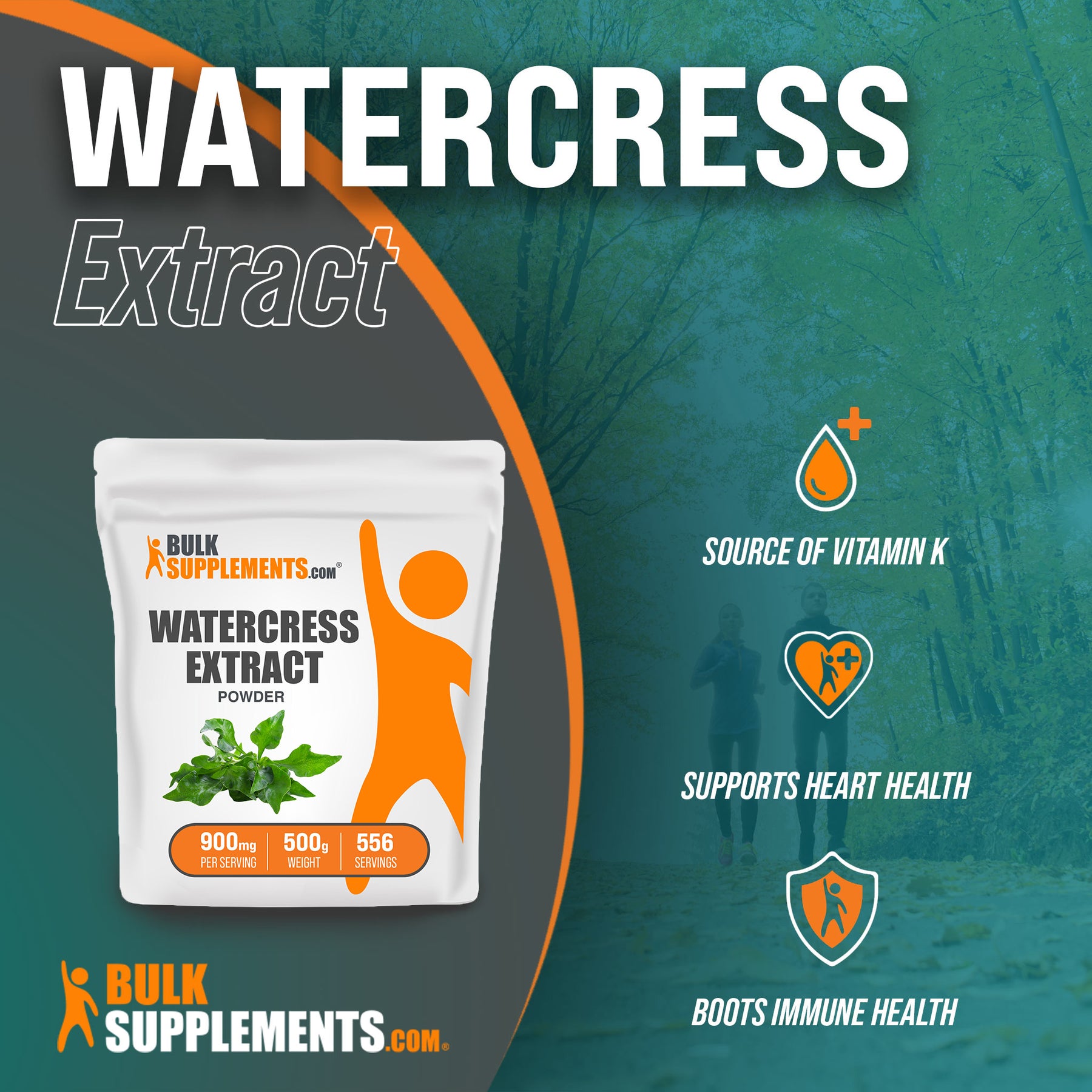 Supplements to Lower Cholesterol | Nasturtium officinale Extract