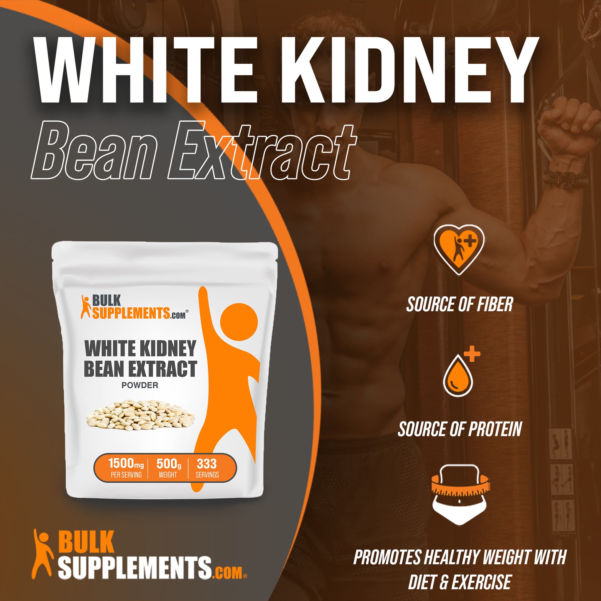White Kidney Bean Extract | Phaseolus vulgaris extract