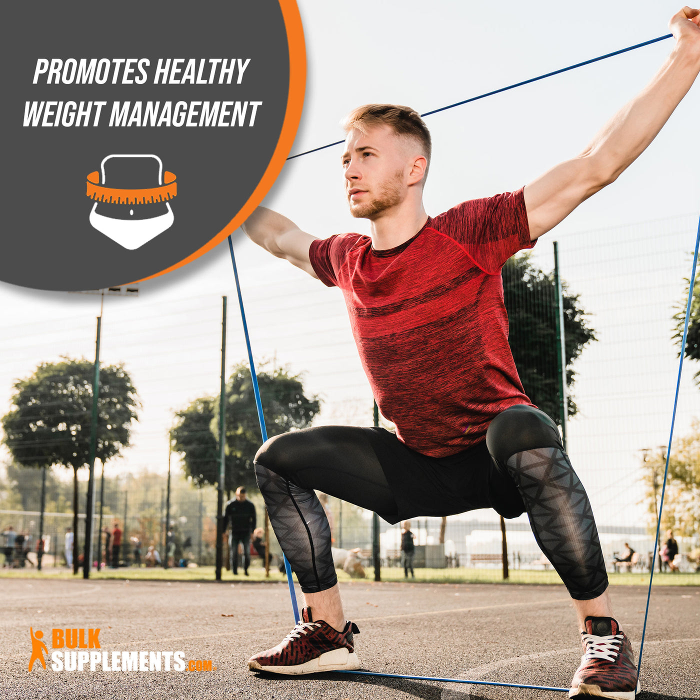 Gymnema sylvestre Extract Powder | Gymnema Supplement